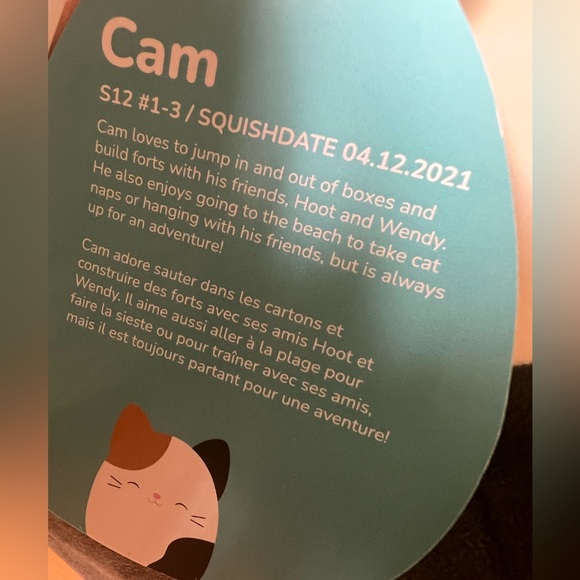 Squishmallows | Accents | Cam The Cat 2 Nwt Rare Squishmallows Kellytoy Fully Stuffed Learning ...